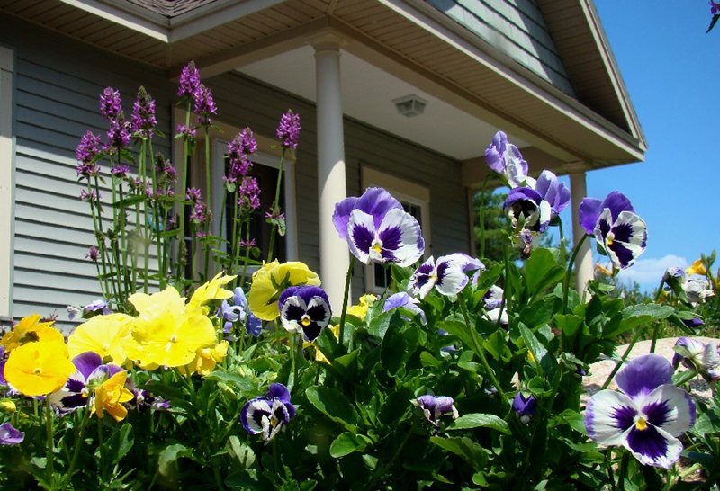 Dirigo Pines | AssistedLiving.org